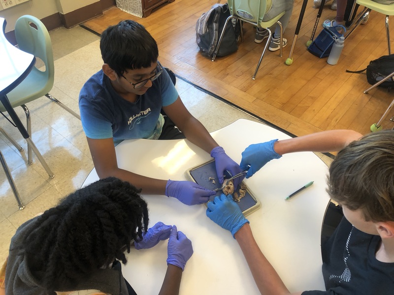 Medical Detectives Dissect Eyes | R.H. Gettys Middle School