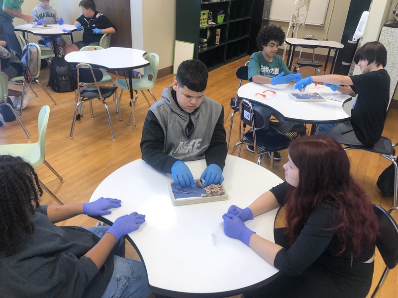 Medical Detectives Dissect Eyes | R.H. Gettys Middle School